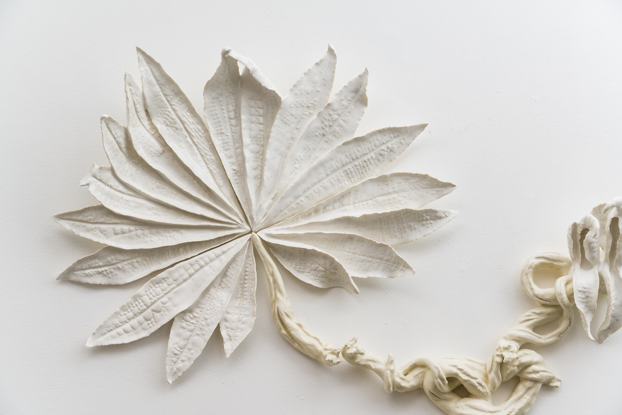 Alice Riehl - Todd Merrill Studio